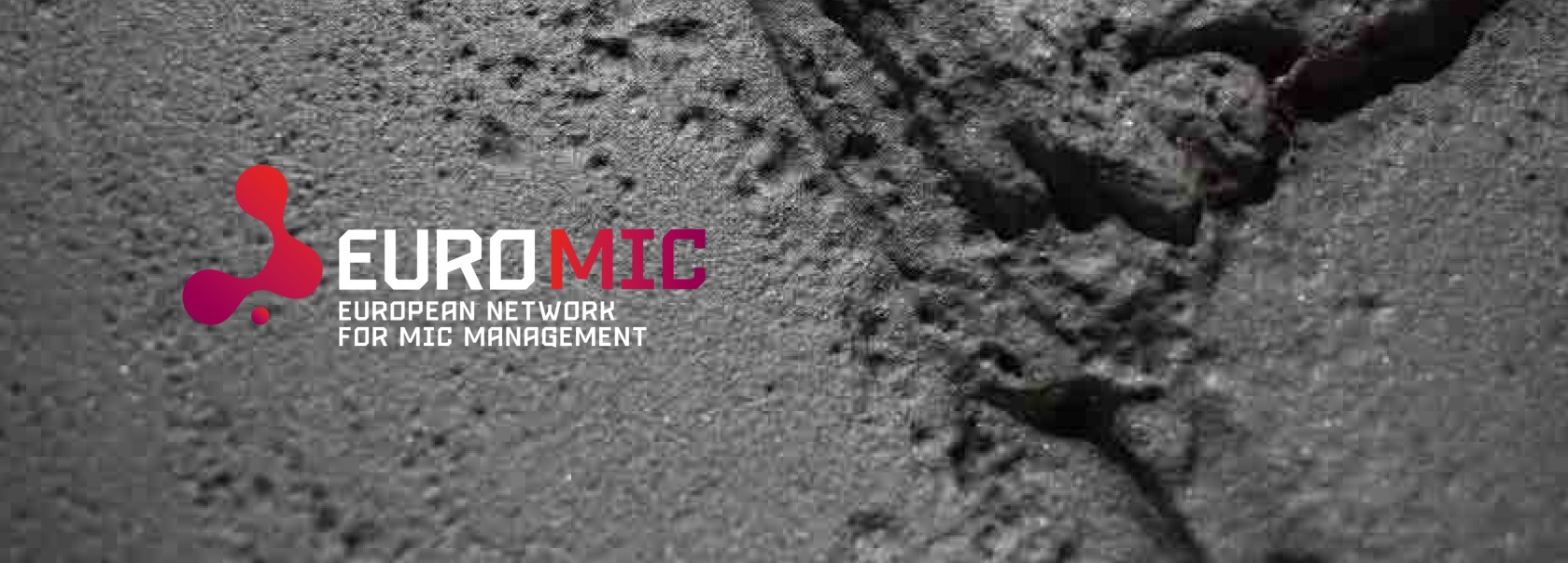 Corrosion Alliance participates in COST Action EURO-MIC